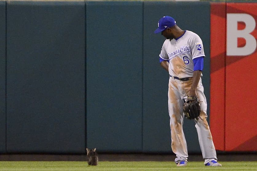 Fowles: Great Moments in Recent Baseball/Adorable Animal History